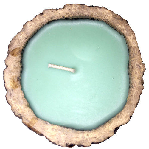 Exotic Scented Candles- Hand-Made Brazil Nut Pod Candle-7 Scent Choice ...