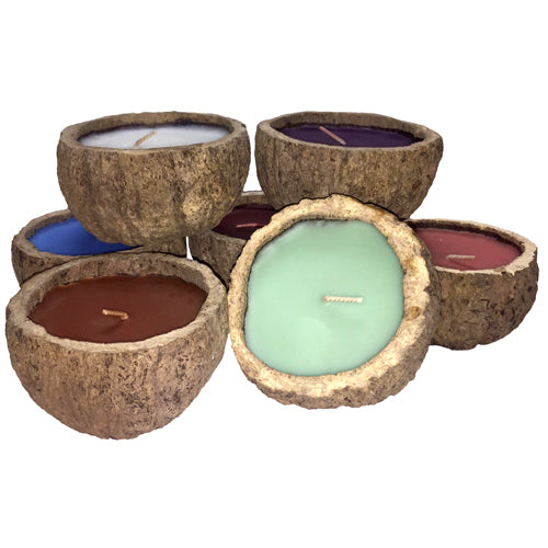 Exotic Scented Candles- Hand-Made Brazil Nut Pod Candle-7 Scent Choice ...